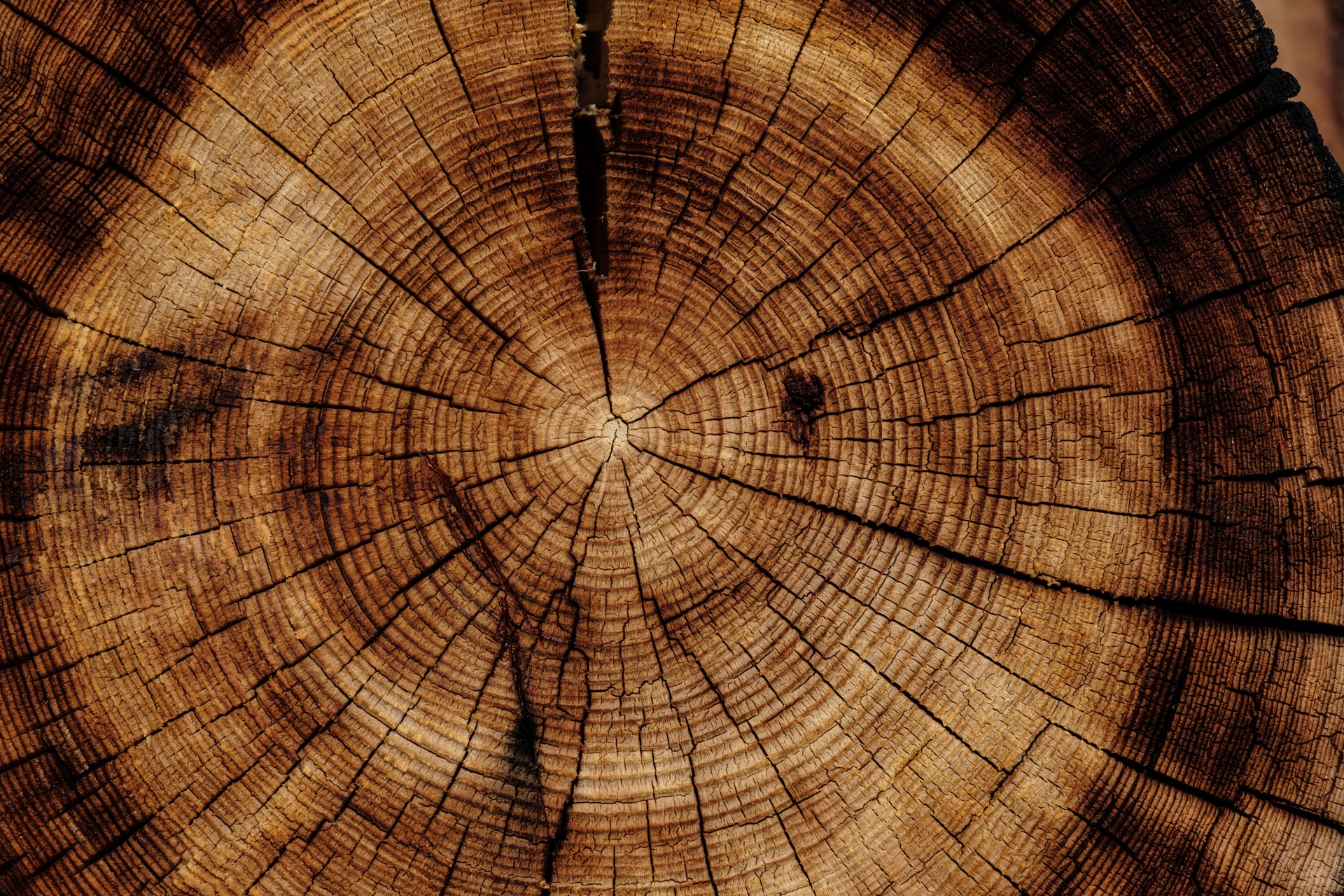 Comment traiter le bois